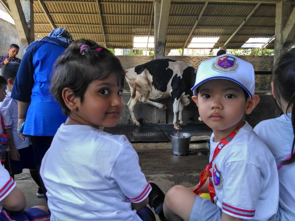 wisata edukasi TK di bogor TK. Bogor Raya ke Sentulfresh - Sentulfresh