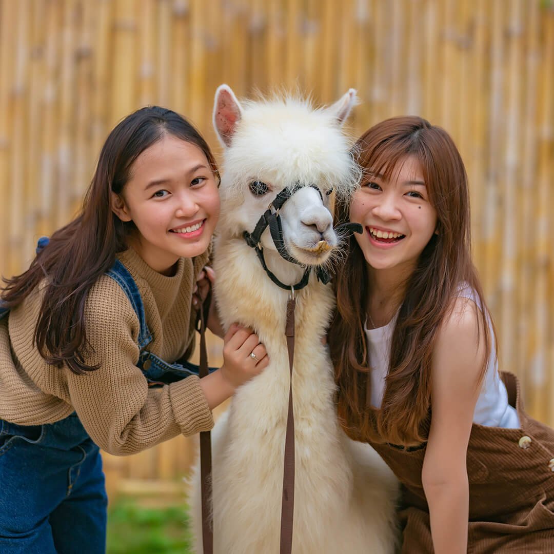 6 Objek Wisata Edukasi, Yang Tersedia Di Jabodetabek - Sentulfresh